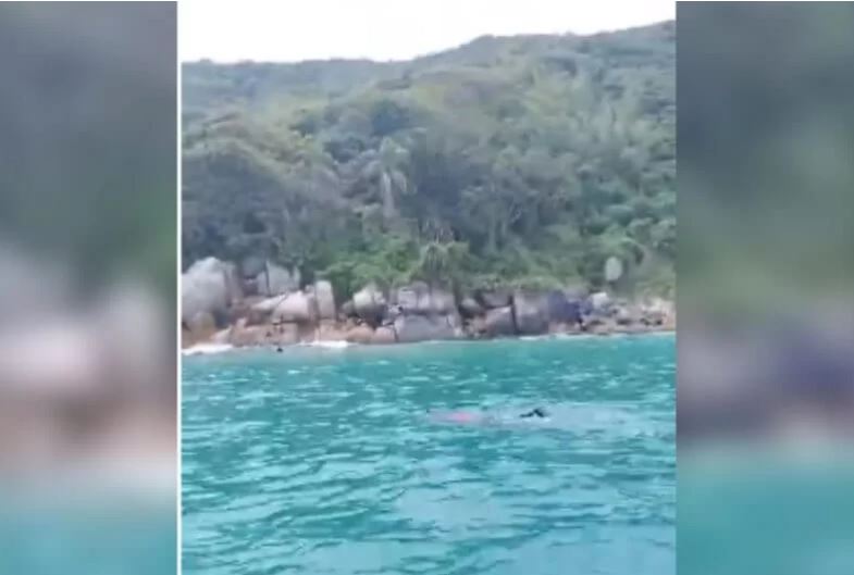 Adolescente de 13 anos desaparece ao entrar no mar - 180graus - O Maior ... Adolescente de 13 anos desaparece ao entrar no mar - 180graus - O Maior ...