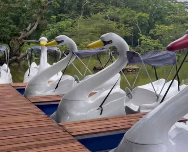 Passeio de Pedalinho é inaugurado neste domingo (05) em Teresina pelo ...