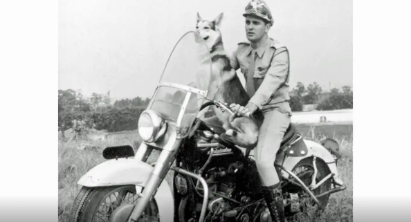 Morre Carlos Miranda, ator e tenente-coronel da PM, famoso por O ...