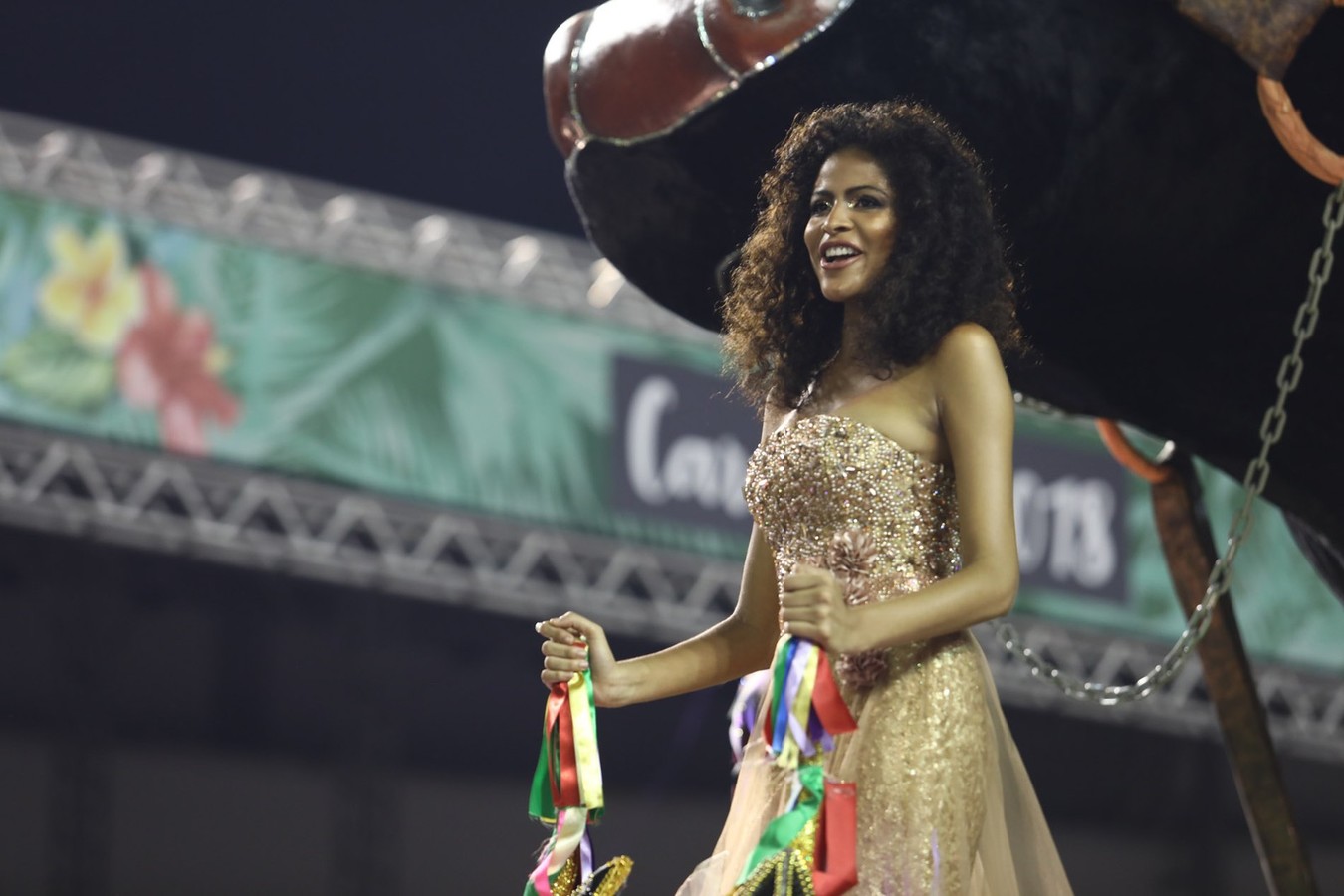 Piauiense Monalysa desfila no abre-alas da Vai-Vai representando a ...