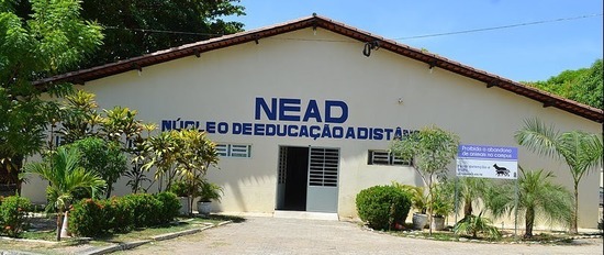 NEAD lança edital com 23 vagas para Professor Formador; acesse aqui o ...