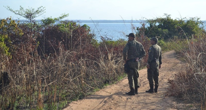 Javali é morto após atacar e dilacerar partes do corpo de homem