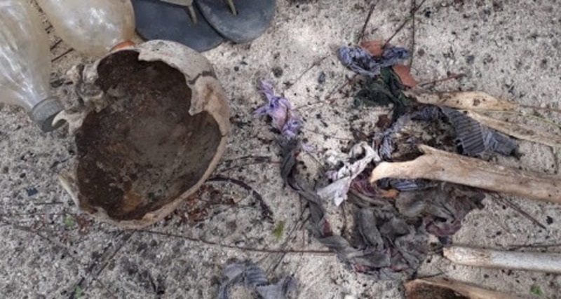 Restos mortais encontrados no Piauí podem ser de homem desaparecido