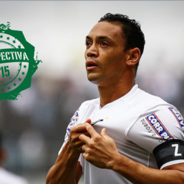 Veja os atletas que fizeram mais gols este ano e fizeram a torcida vibrar