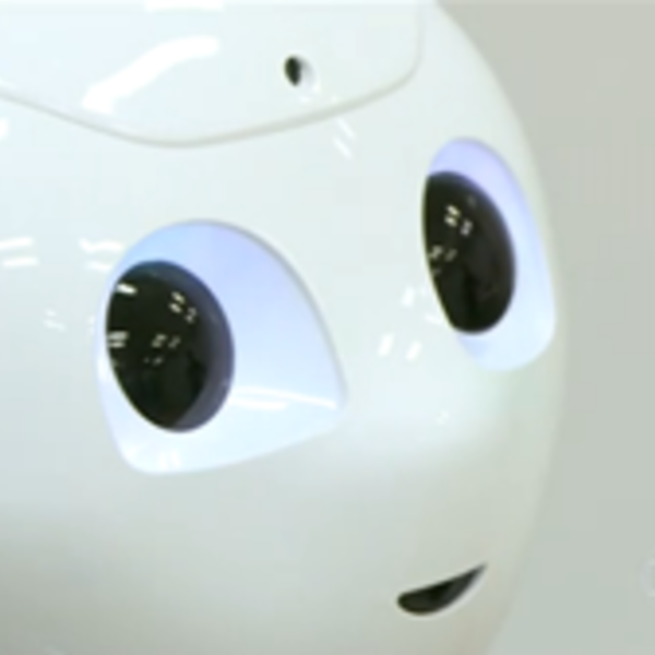 Japoneses criam robô inteligente que serve como amigo para as pessoas