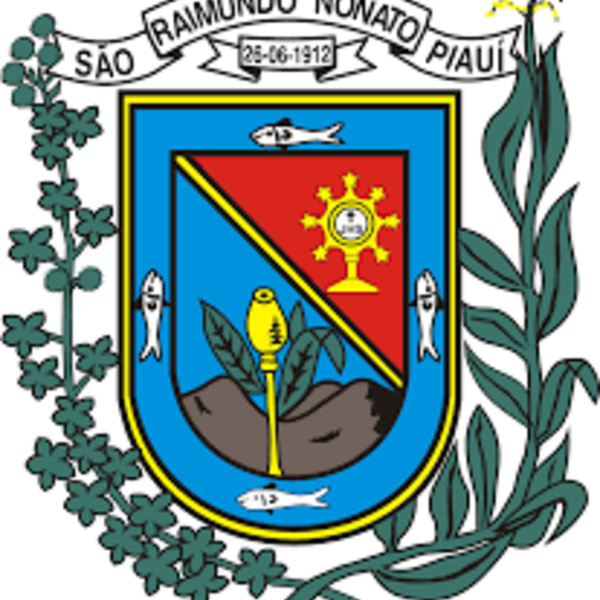 Prefeita De São Raimundo Nonato Decreta Luto Oficial Por Três Dias Em